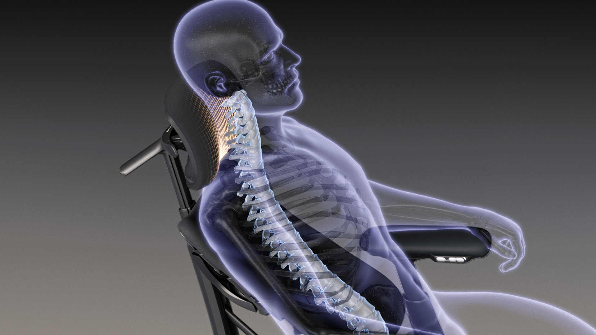 Neck & Shoulder Pain from Sitting? Dynamic Support Can Help – LiberNovo